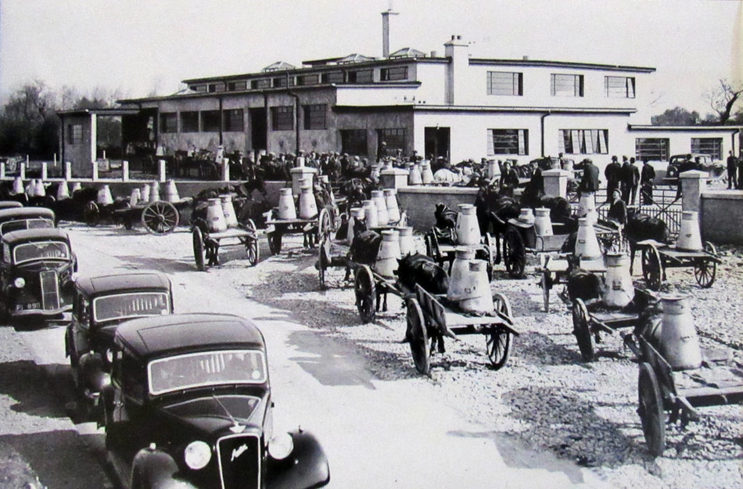 Celebrating 100 years of Castlelyons Co-op - The Avondhu Newspaper