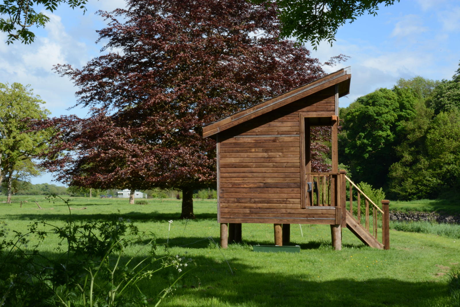 Photo exhibition in Fermoy Library this month - The Avondhu Newspaper