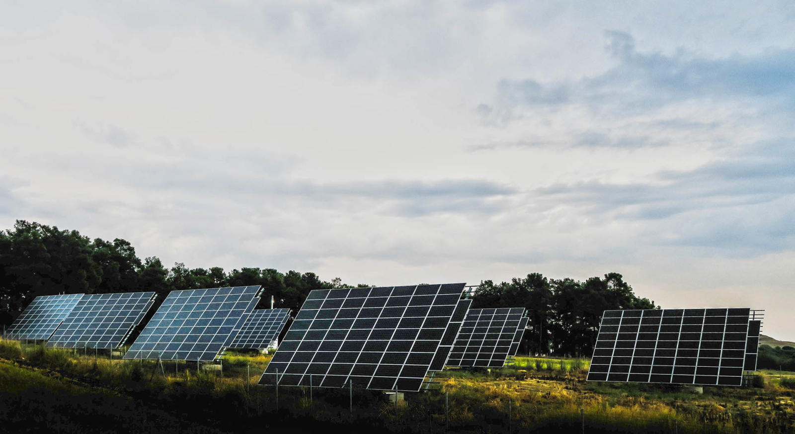 Permission granted for solar farm - The Avondhu Newspaper