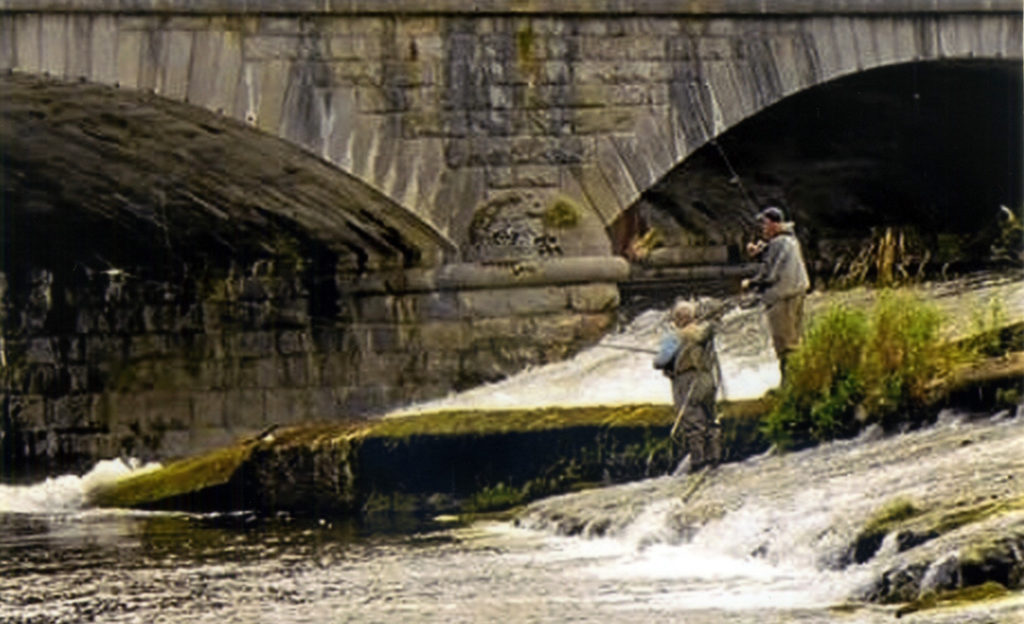 Group of anglers seeking bye-law banning fishing below Fermoy fish pass ...