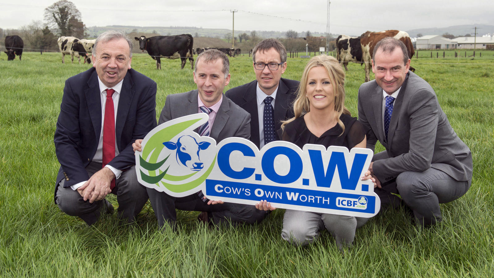 The COW ranks your dairy cows in seconds! - The Avondhu Newspaper