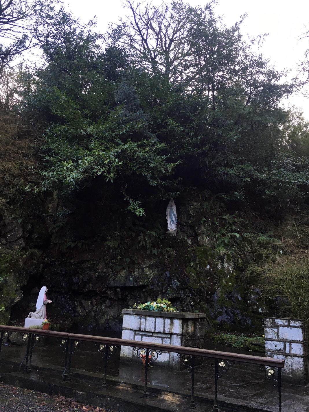 Ann Lovett 1968 - January 31 1984 - The Avondhu Newspaper