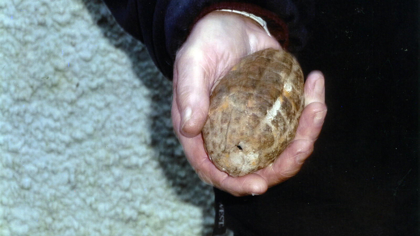Kilworth man finds grenade from 1921 in his garage - The Avondhu Newspaper