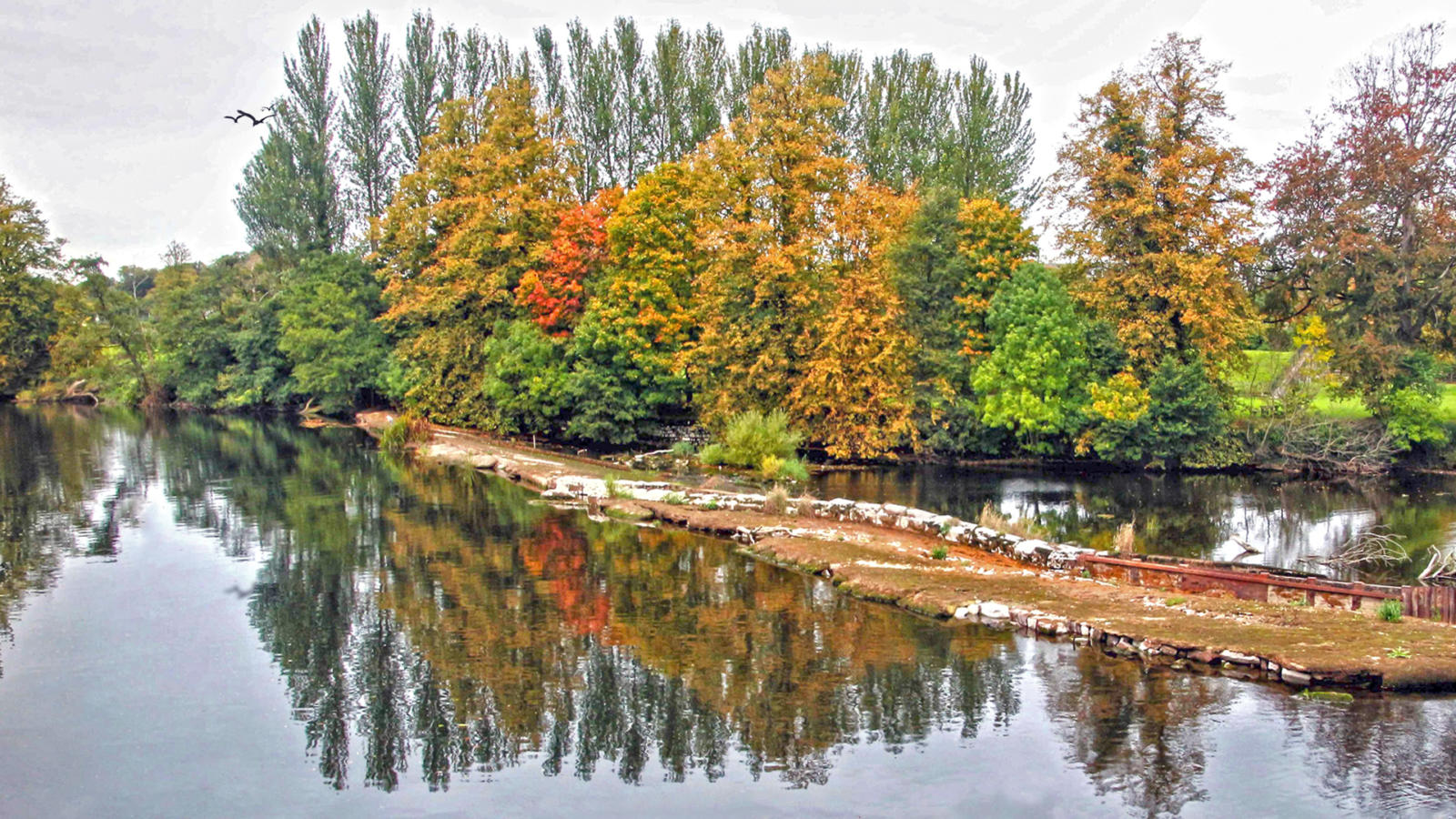 Council hears of design proposals for Fermoy weir - The Avondhu Newspaper