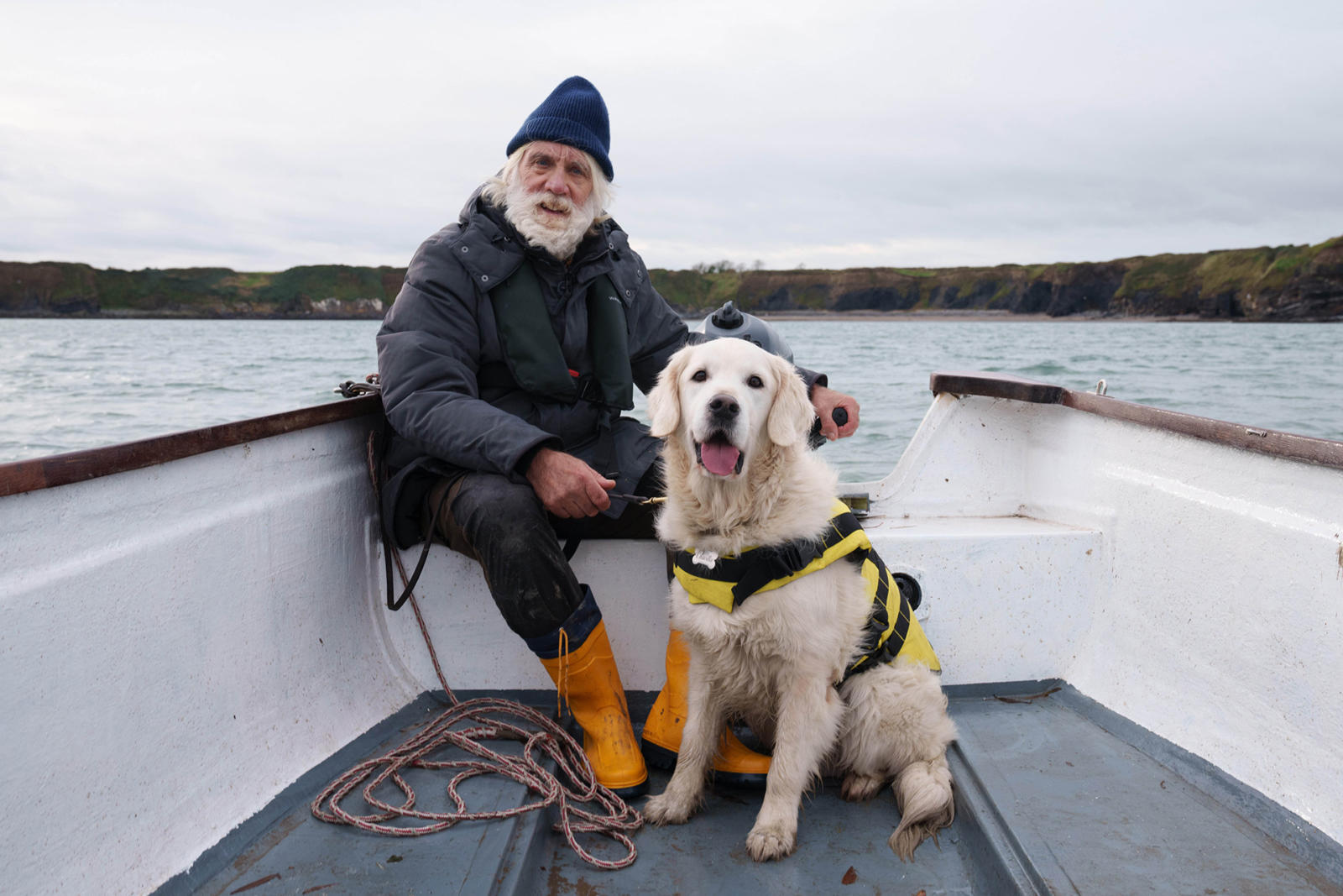 Half of dog owners have no plans in place for pets if worst were to ...