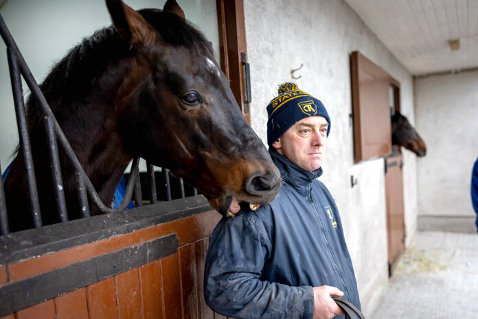 Local studs participate in ITM Irish Stallion Trail - The Avondhu Newspaper