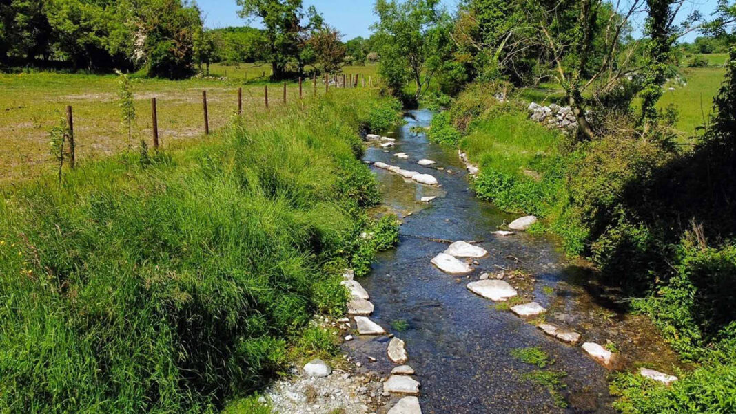 IFI to provide over €1m for transformative river restoration projects ...