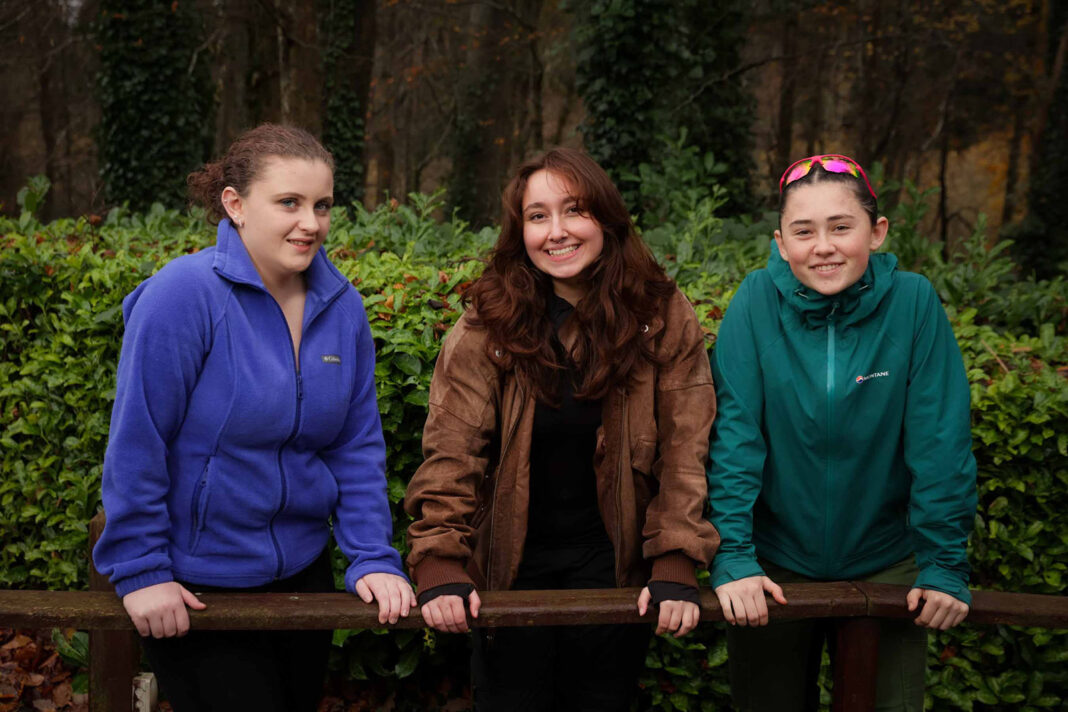 Deadline nears for Coillte’s 2025 Forestry Scholarship - The Avondhu Newspaper