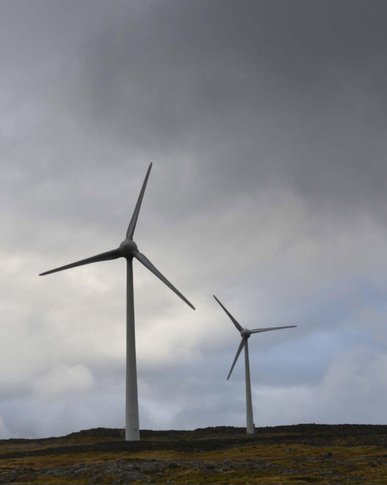 Cork company partners with Lyra Wind Farm to develop wind farm in Mayo ...