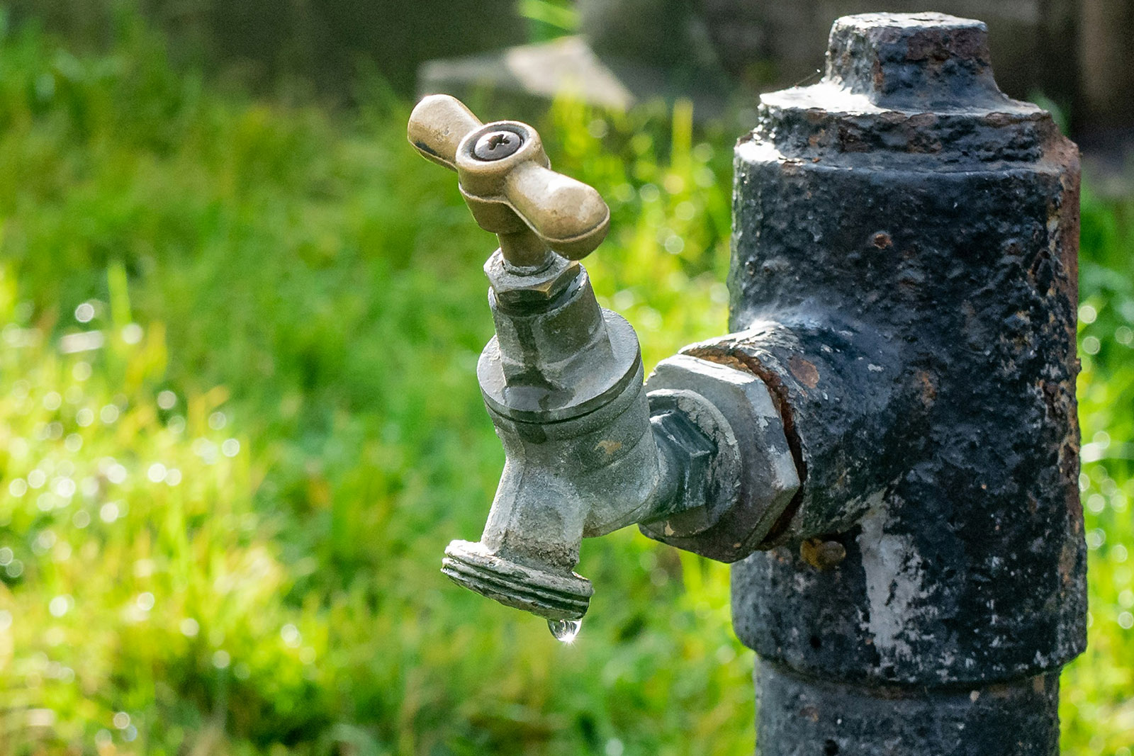 'Drought' in west Waterford 'only going to get worse' as emergency ...