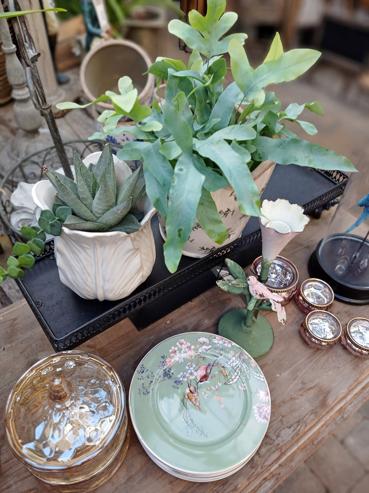 Discover inspiration at Clarenbridge Garden Centre Tipperary - The ...