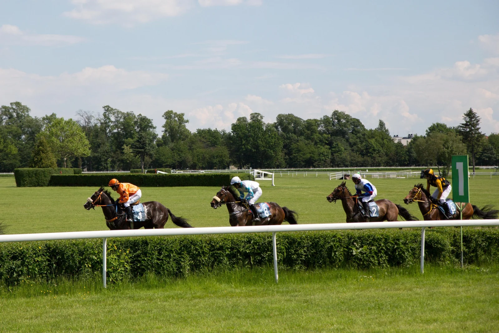 The Racing Year Has Always Begun Around the Kitchen Table - The Avondhu ...
