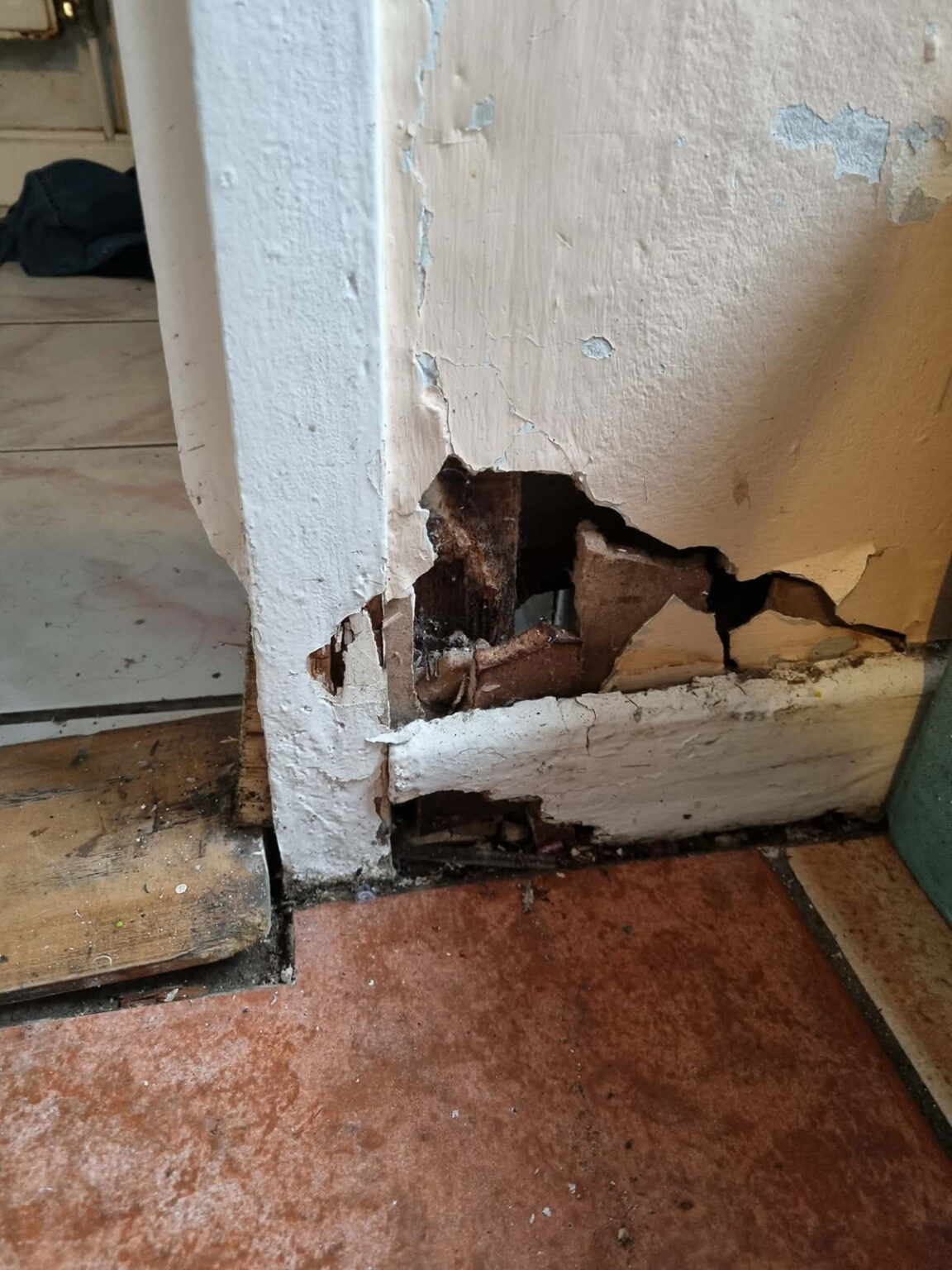 "We have the kids to think about" - Mitchelstown family's housing ...